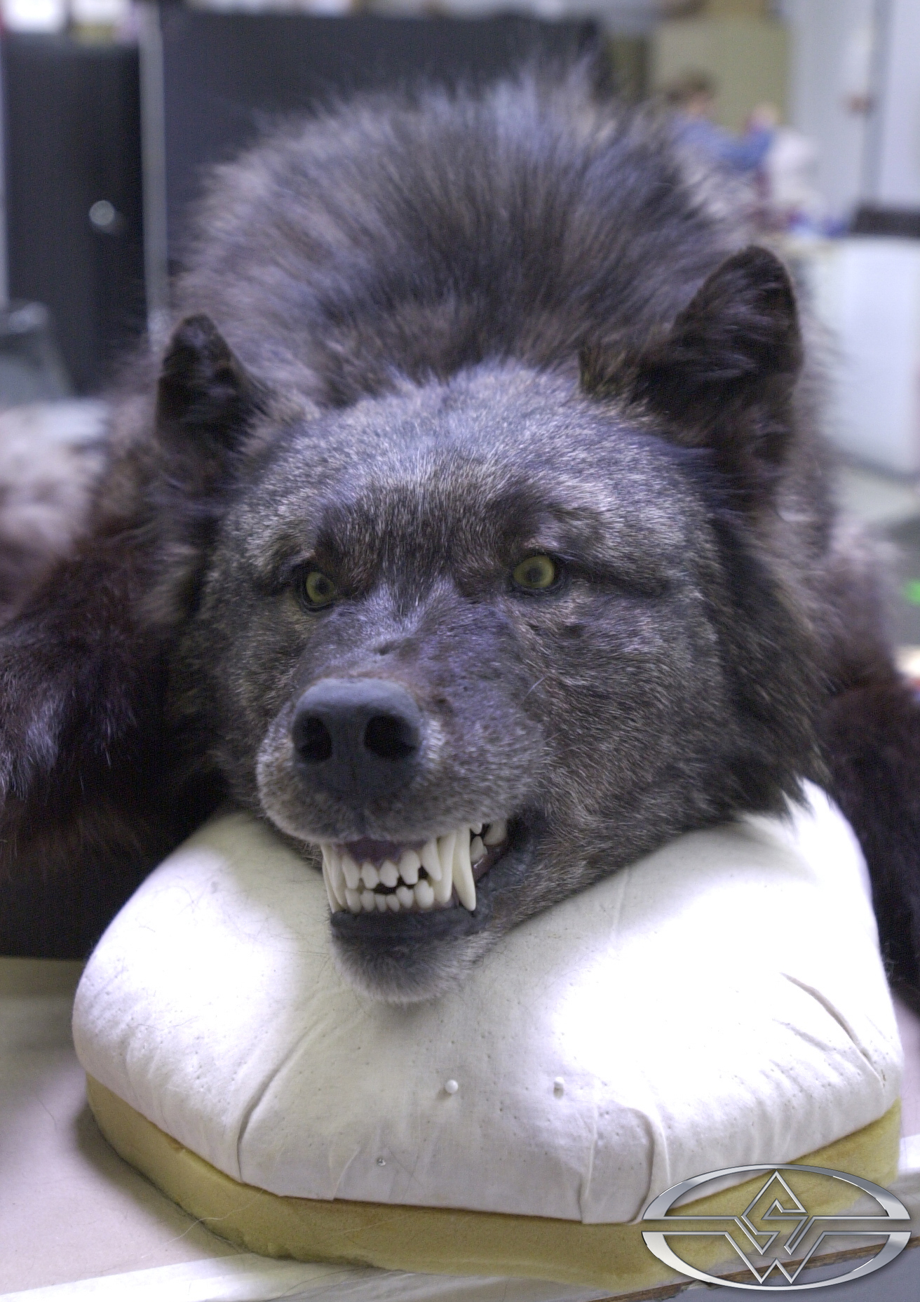 Big Fish: Behind the Scenes at Stan Winston Studio | Stan Winston ...