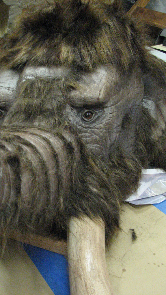 Chippy Walks Again - CIFX creates an Animatronic Mini-Mammoth for a ...