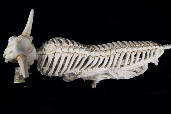 Bone Vehicle - Is this Skeletor's Dream Ride? | Stan Winston School of ...