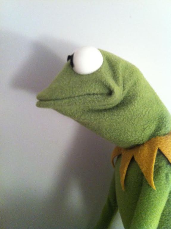 Fur, Felt and Fantasy - Puppets are My Business: SWSCA Spotlight on Tom ...