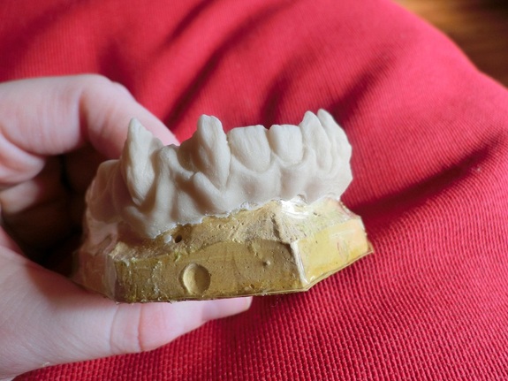 How to Make Wearable Creature Teeth with SWSCA students Rosanna Wells ...