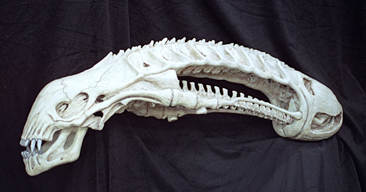 Predator 2 - Making the Predator Suits: Behind the Scenes at Stan ...