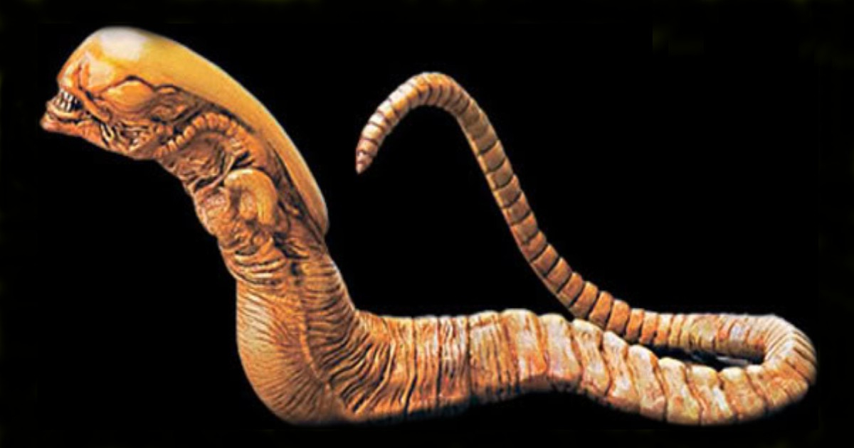 Creature FX Essentials - How to make a "tentacle" mechanism | Stan ...