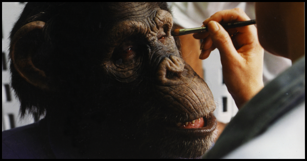 Gino Acevedo - Practical & Digital FX Artist | Stan Winston School of ...